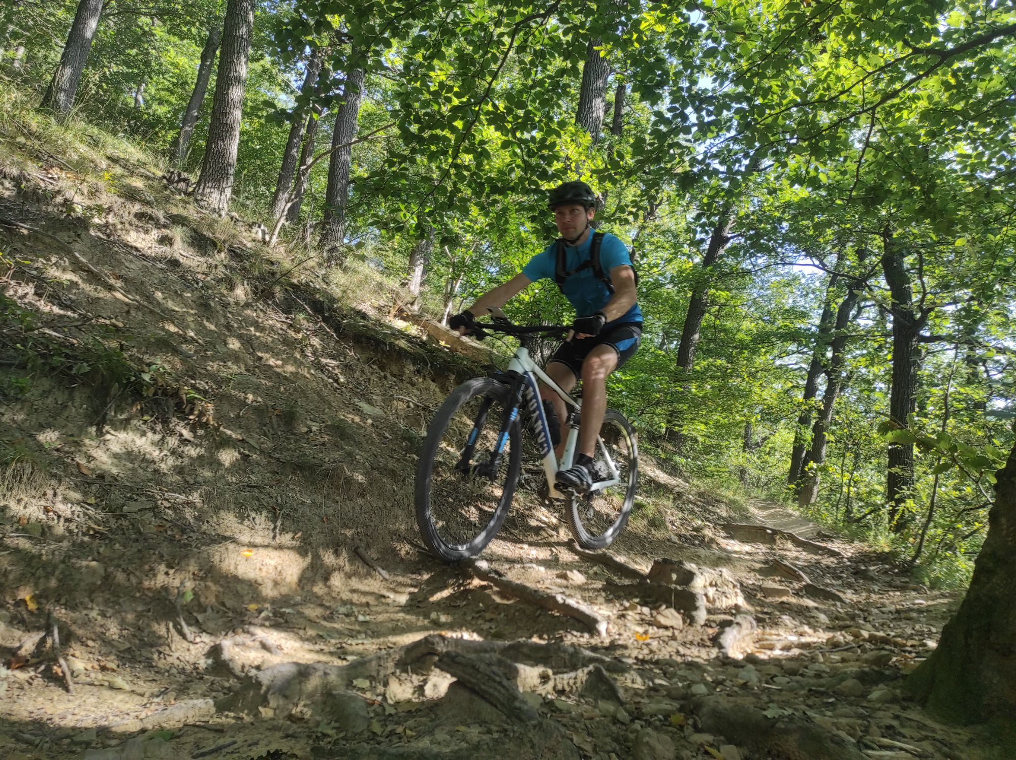 Best bike trails in Vienna - Mountain biking in Vienna - AustriaTrails