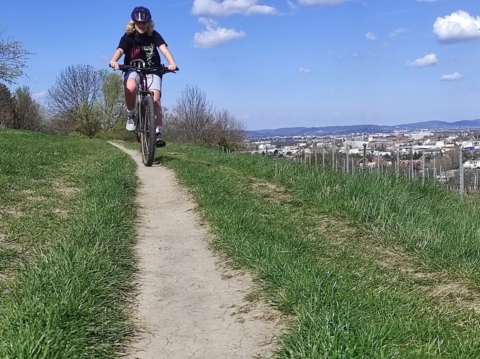 Best bike trails in Vienna - Mountain biking in Vienna - AustriaTrails
