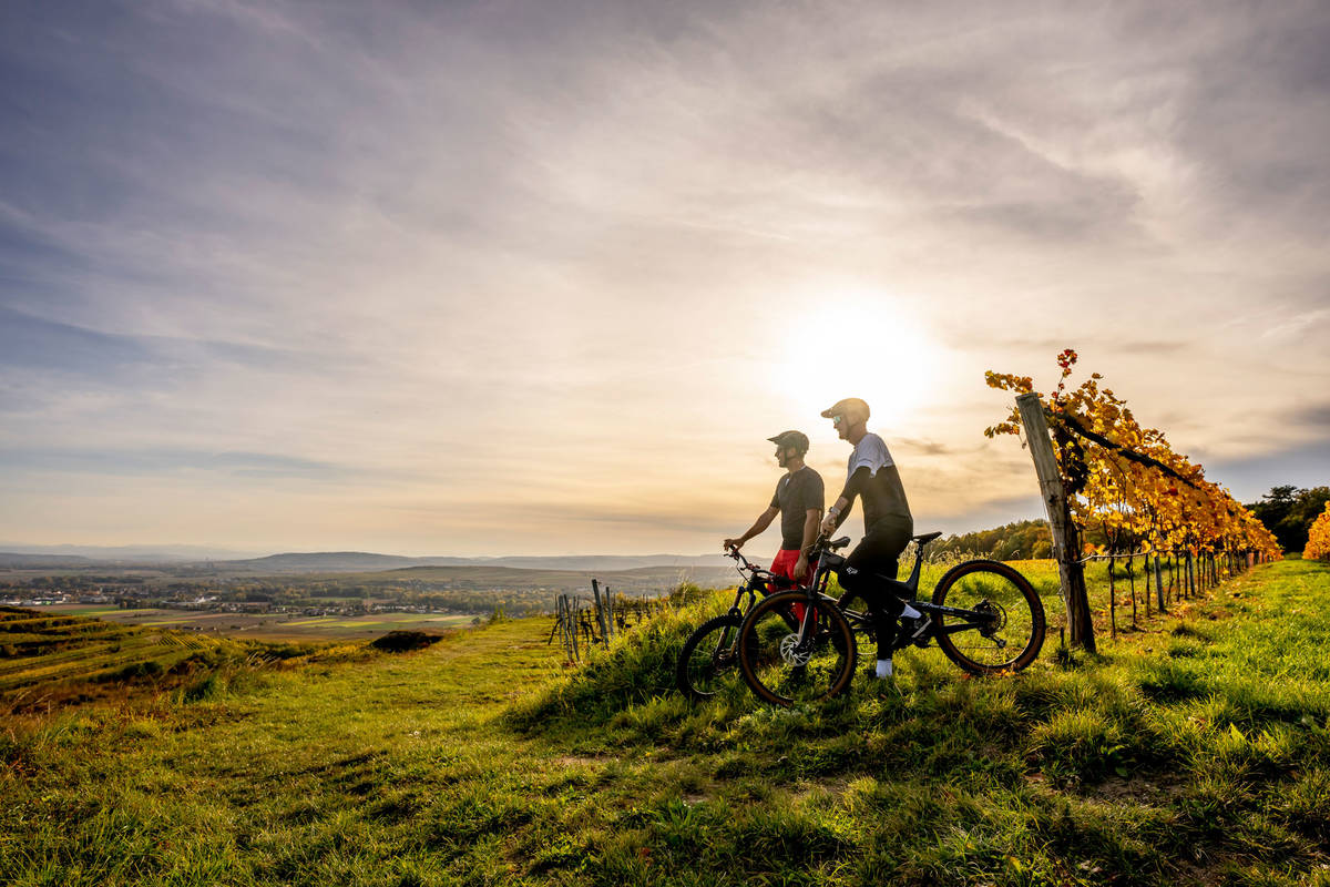 Bike tours - Mountain bike tours in Austria - Mountain biking in Vienna ...