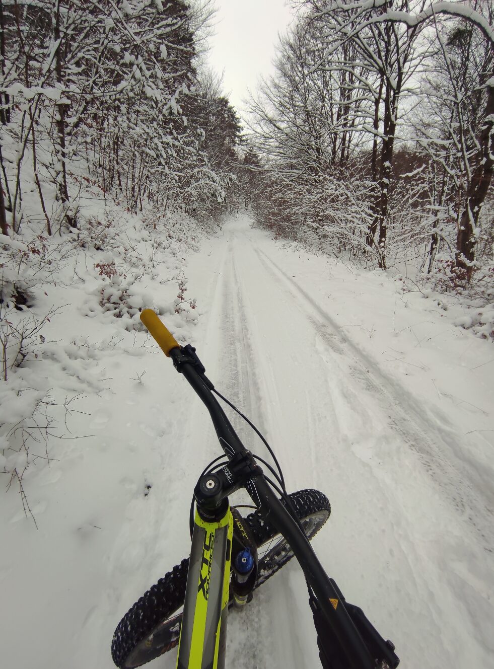 Winter mountain biking in Austria, Vienna - Winter bike adventures ...
