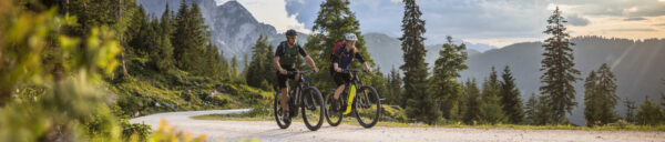 Top 10 Most Bike-Friendly Countries in the World - AustriaTrails